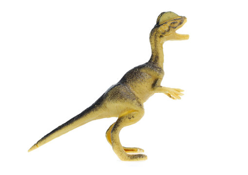 Vehemently Images – Browse 259 Stock Photos, Vectors, and Video | Adobe ...