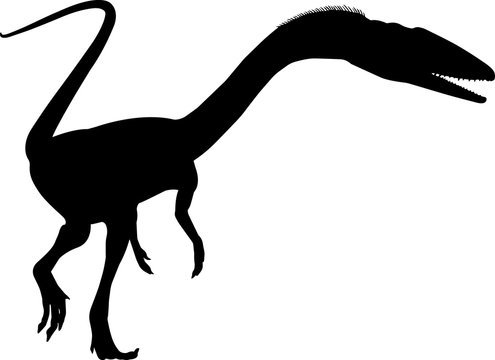 Bauri Images – Browse 38 Stock Photos, Vectors, and Video | Adobe Stock