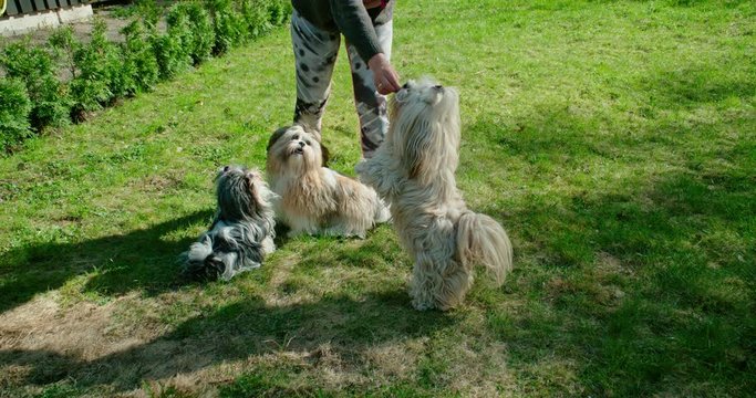 รูปภาพTrix – เลือกดูภาพถ่ายสต็อก เวกเตอร์ และวิดีโอ189 | Adobe Stock