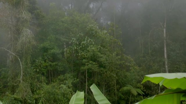 Emergent Images – Browse 2,578 Stock Photos, Vectors, and Video | Adobe ...