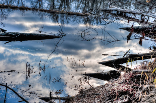 Richard Potvin photos, images, assets | Adobe Stock