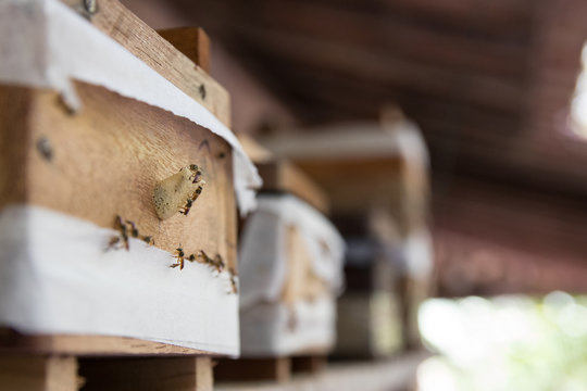 Inseparable Images – Browse 2,512 Stock Photos, Vectors, and Video ...