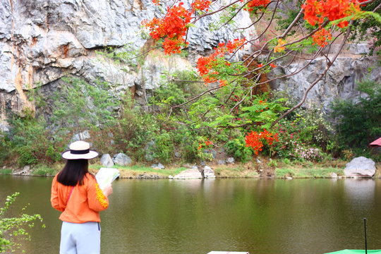 「Pictuer」の写真素材 | 23件の無料イラスト画像 | Adobe Stock