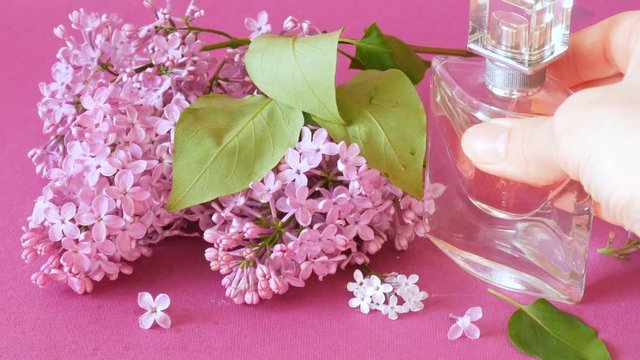 Fregrance Images – Browse 253 Stock Photos, Vectors, and Video | Adobe ...