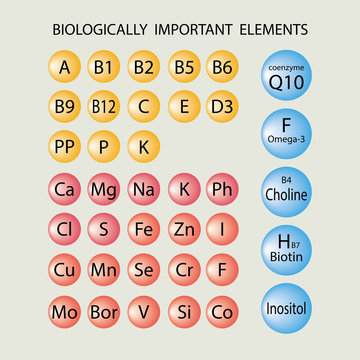 รูปภาพMacrocells – เลือกดูภาพถ่ายสต็อก เวกเตอร์ และวิดีโอ207 | Adobe Stock