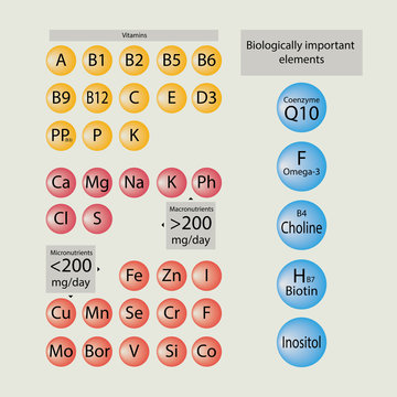 รูปภาพMacrocells – เลือกดูภาพถ่ายสต็อก เวกเตอร์ และวิดีโอ207 | Adobe Stock