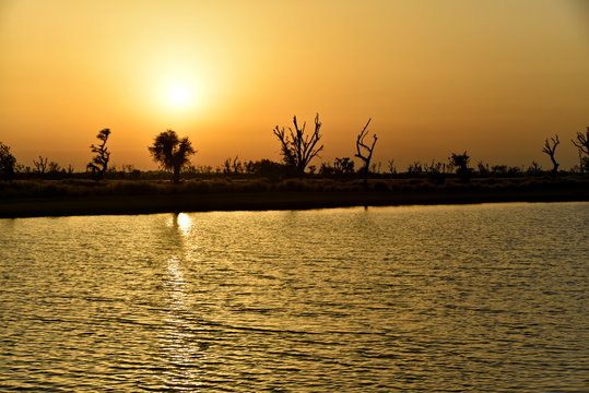 รูปภาพ"Love Lake" – เลือกดูภาพถ่ายสต็อก เวกเตอร์ และวิดีโอ566 | Adobe Stock