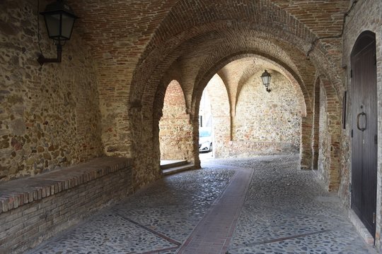 Salandra Bilder – Durchsuchen 43 Archivfotos, Vektorgrafiken und Videos ...