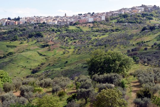 Salandra Bilder – Durchsuchen 43 Archivfotos, Vektorgrafiken und Videos ...