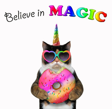 Caticorn Images – Browse 42 Stock Photos, Vectors, and Video | Adobe Stock