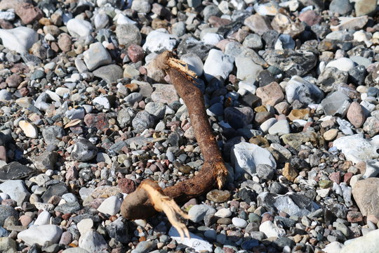 Kisel Bilder – Durchsuchen 93 Archivfotos, Vektorgrafiken und Videos ...