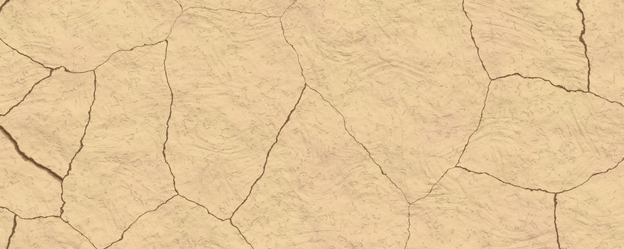 37,823 BEST Bone Texture IMAGES, STOCK PHOTOS & VECTORS | Adobe Stock