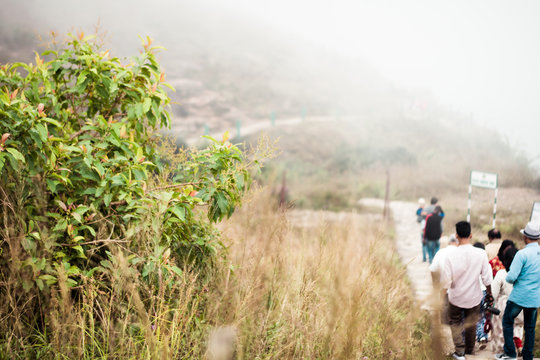 Cherrapunjee Images – Browse 625 Stock Photos, Vectors, and Video ...