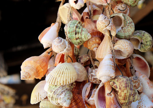 Windbell Images – Browse 56 Stock Photos, Vectors, and Video | Adobe Stock