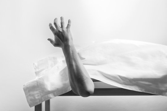 Creepily-Bilder: Stock-Fotos & -Videos. | Adobe Stock