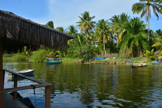 Boipeba Images – Parcourir 1,272 le catalogue de photos, vecteurs et ...