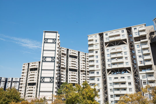 芦屋 Images – Browse 968 Stock Photos, Vectors, and Video | Adobe Stock