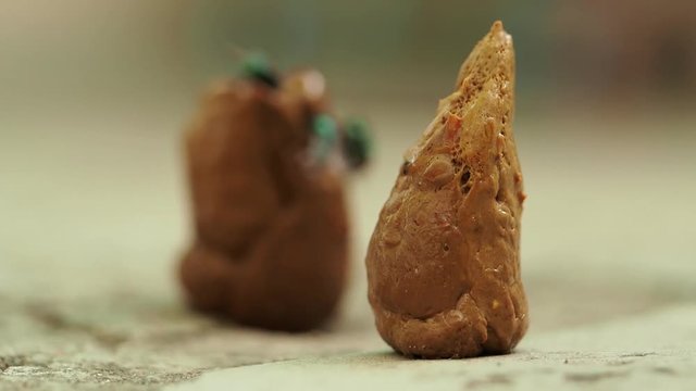 "Human Feces" Images – Browse 777 Stock Photos, Vectors, and Video ...