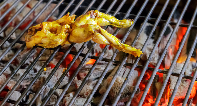 "Frog Meat" Images – Browse 100 Stock Photos, Vectors, and Video ...