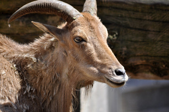 Rammen bilder – Bläddra bland 1,916 stockfoton, vektorer och videor ...