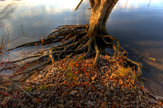 Richard Potvin photos, images, assets | Adobe Stock