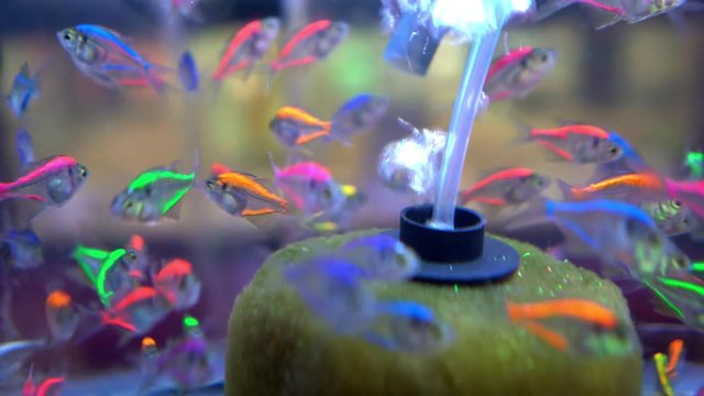 Chanda Images – Browse 251 Stock Photos, Vectors, and Video | Adobe Stock