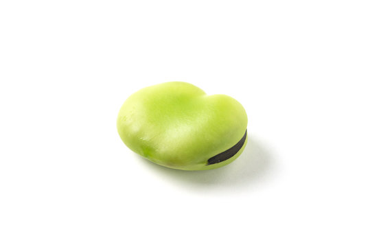 Favabohne Bilder – Durchsuchen 23,215 Archivfotos, Vektorgrafiken und ...