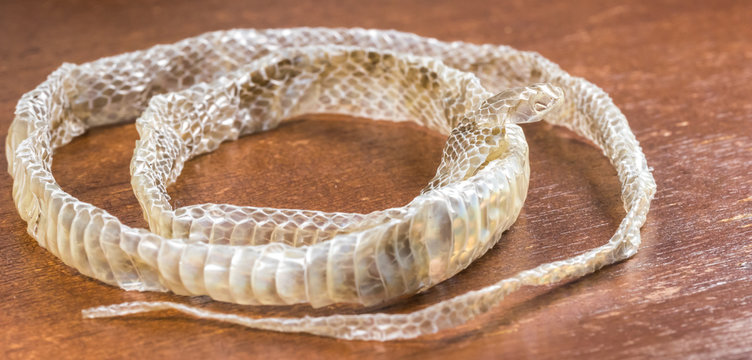 Gema Images – Parcourir 2,513 le catalogue de photos, vecteurs et ...