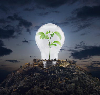 รูปภาพNurture – เลือกดูภาพถ่ายสต็อก เวกเตอร์ และวิดีโอ576,199 | Adobe Stock