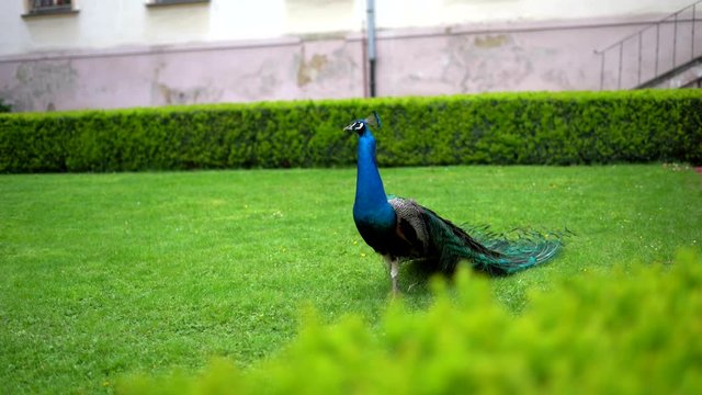 Undoubtedly Images – Browse 4,259 Stock Photos, Vectors, and Video ...