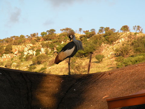 Mahem Images – Browse 11 Stock Photos, Vectors, and Video | Adobe Stock