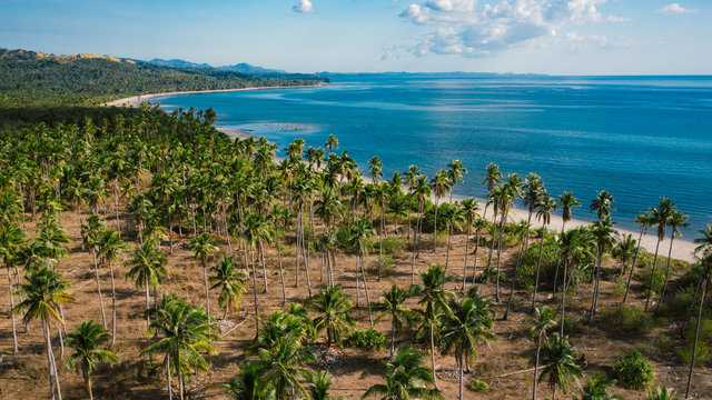 รูปภาพRomblon – เลือกดูภาพถ่ายสต็อก เวกเตอร์ และวิดีโอ3,153 | Adobe Stock