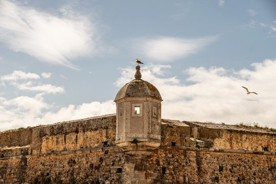 Poiso Bilder – Durchsuchen 194 Archivfotos, Vektorgrafiken und Videos ...