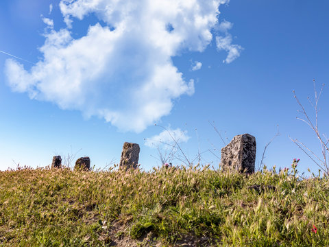 「Mojones」の写真素材 | 14件の無料イラスト画像 | Adobe Stock