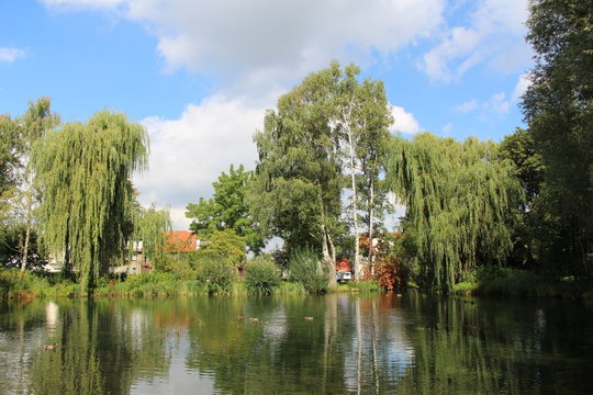 Lutter Bilder – Durchsuchen 892 Archivfotos, Vektorgrafiken und Videos ...