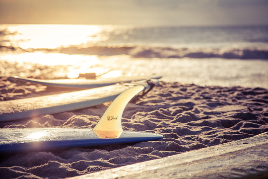 Finne Bilder – Durchsuchen 11,891 Archivfotos, Vektorgrafiken und ...