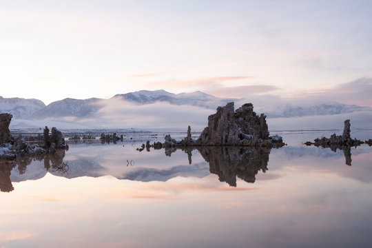 รูปภาพTuling – เลือกดูภาพถ่ายสต็อก เวกเตอร์ และวิดีโอ3,015 | Adobe Stock