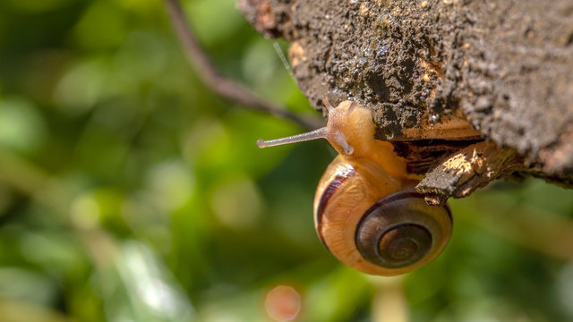 2,623 BESTE Fummeln BILDER, STOCK-FOTOS & -VEKTORGRAFIKEN | Adobe Stock