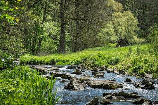 Brook Images – Browse 3,821,334 Stock Photos, Vectors, and Video ...