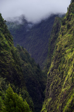 Polynesier Images – Browse 41 Stock Photos, Vectors, and Video | Adobe ...