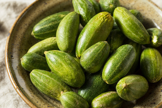 Parwal Images – Browse 664 Stock Photos, Vectors, and Video | Adobe Stock