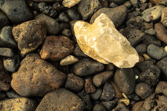 รูปภาพLithification – เลือกดูภาพถ่ายสต็อก เวกเตอร์ และวิดีโอ156 | Adobe ...