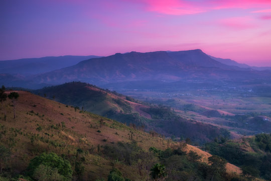 asioni photos, images, assets | Adobe Stock