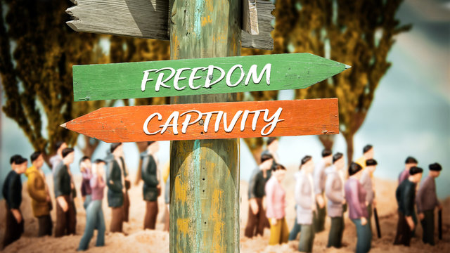 รูปภาพCaptivity – เลือกดูภาพถ่ายสต็อก เวกเตอร์ และวิดีโอ143,135 | Adobe ...