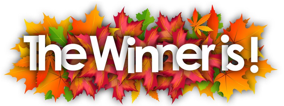 "The Winner Is" Images – Browse 511 Stock Photos, Vectors, and Video ...