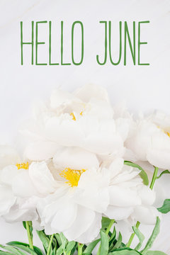 Imágenes de Junio: descubre bancos de fotos, ilustraciones, vectores y ...