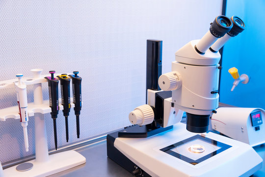 Bellesa Images – Browse 46 Stock Photos, Vectors, and Video | Adobe Stock