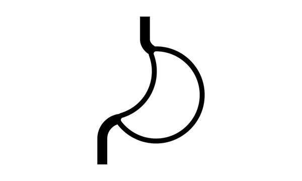 "Stomach Lining" Images – Browse 229 Stock Photos, Vectors, and Video ...