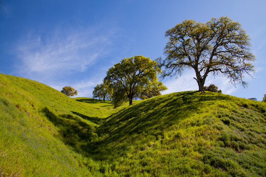 Reginal Bilder – Durchsuchen 100 Archivfotos, Vektorgrafiken und Videos ...