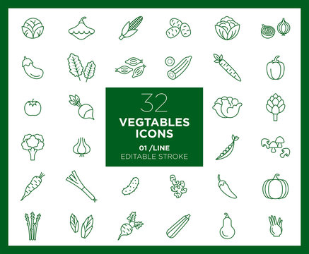 Chicory Icon Bilder – Durchsuchen 519 Archivfotos, Vektorgrafiken und ...